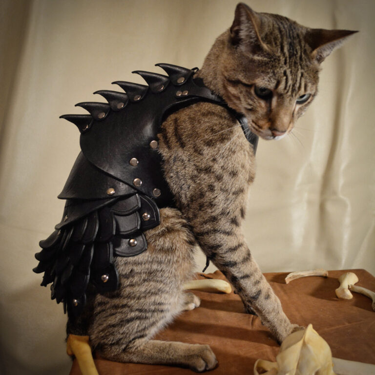Cat Battle Armor | BespokeBug